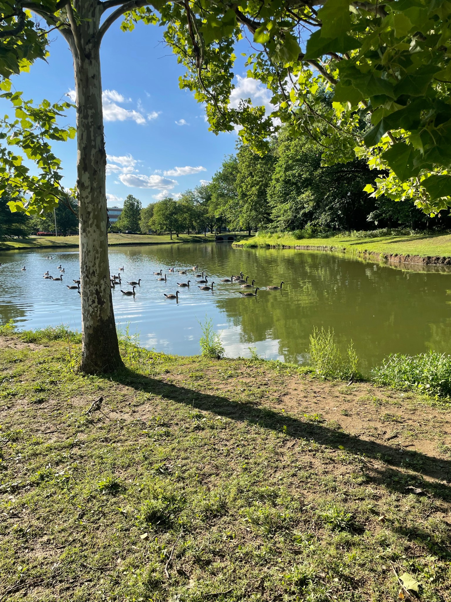 Poetry Contest, Summer 2023, judged by Professor Richard Strier – The ...